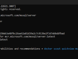 Run Ms Sql Server On Docker рџ